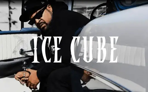 ICE CUBE 商标-麦家支持-为跨境卖家服务