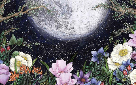 Elizabeth Mazur 版权画-麦家支持-为跨境卖家服务